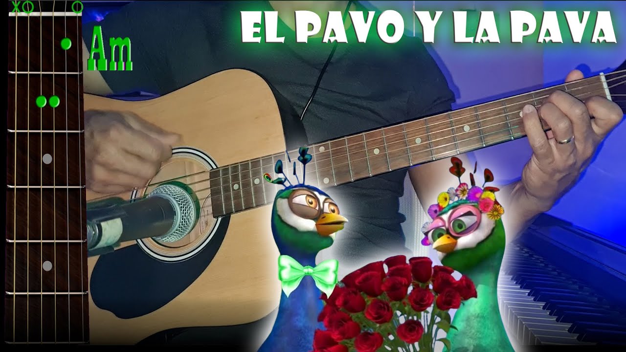 El Pavo y la Pava | Guitarra | Acordes | Tutorial | Cover - YouTube