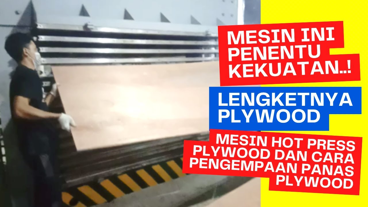 Proses plywood | Review mesin hot press dan cara pengempaan panas ...