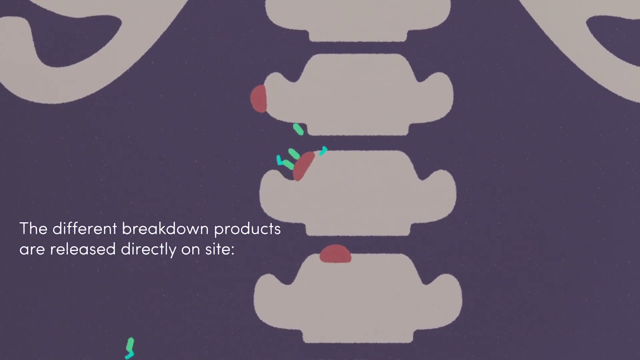 FUBIS – Drug Discovery and Early Clinical Research - YouTube