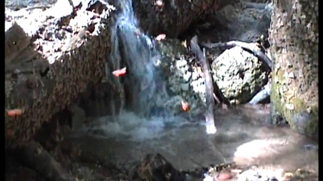 RHODES - Valley of Butterflies (Petaloudes) - YouTube