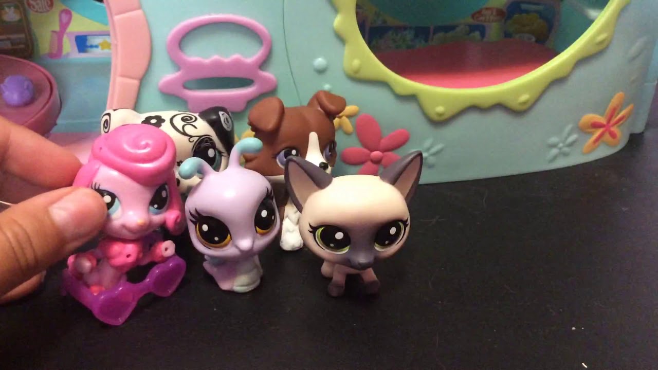 Lps My Birthday!!😊 - YouTube
