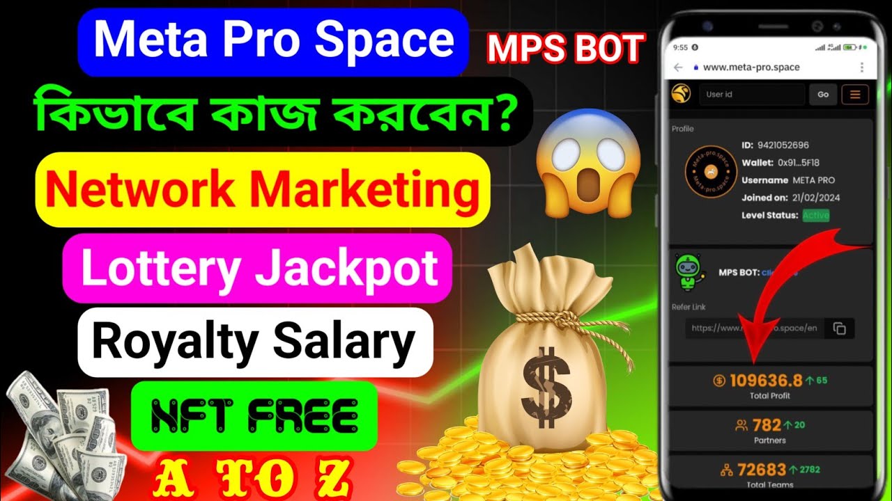 Meta Pro Space Kaj Ki | বিস্তারিত আলোচনা | কিভাবে কাজ ও ইনকাম করবেন A ...