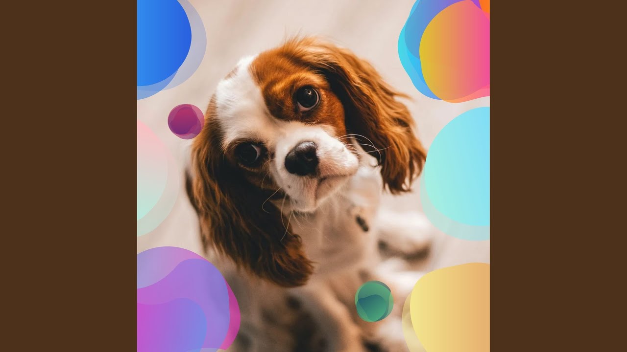 Background for Pet Dogs - YouTube