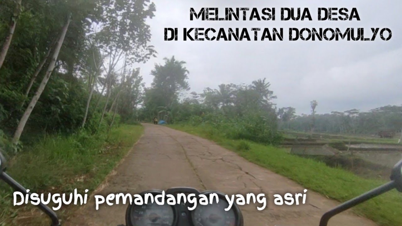 Menelusuri Jalanan desa yang indah dan asri || suasana desa purworejo ...