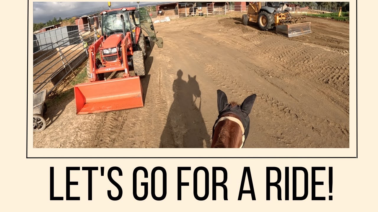 Let's Go For A Ride - YouTube