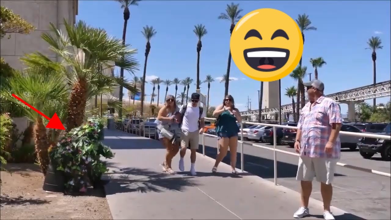 Bush man prank. Funny moments in U.S.A. 😀 @ZoiPana - YouTube