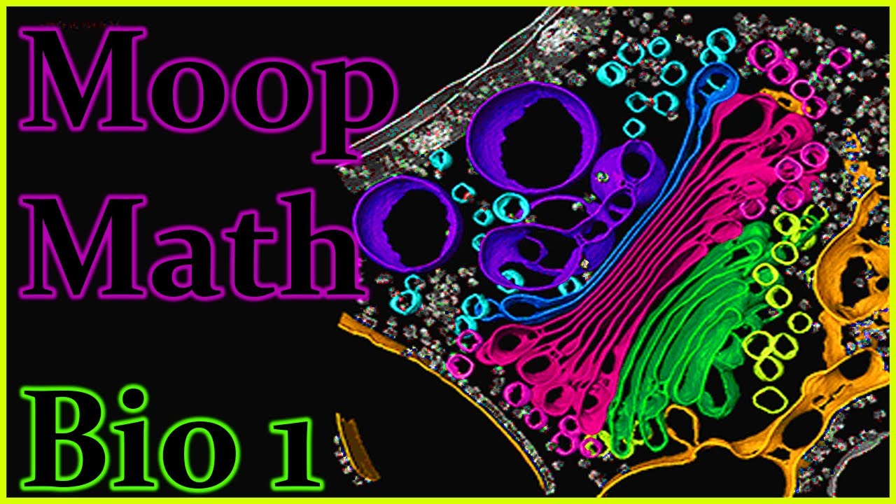 Biology 1 Lecture 2 - YouTube