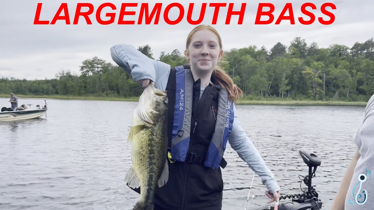 Fishing Northern Minnesota for LARGEMOUTH BASS - YouTube