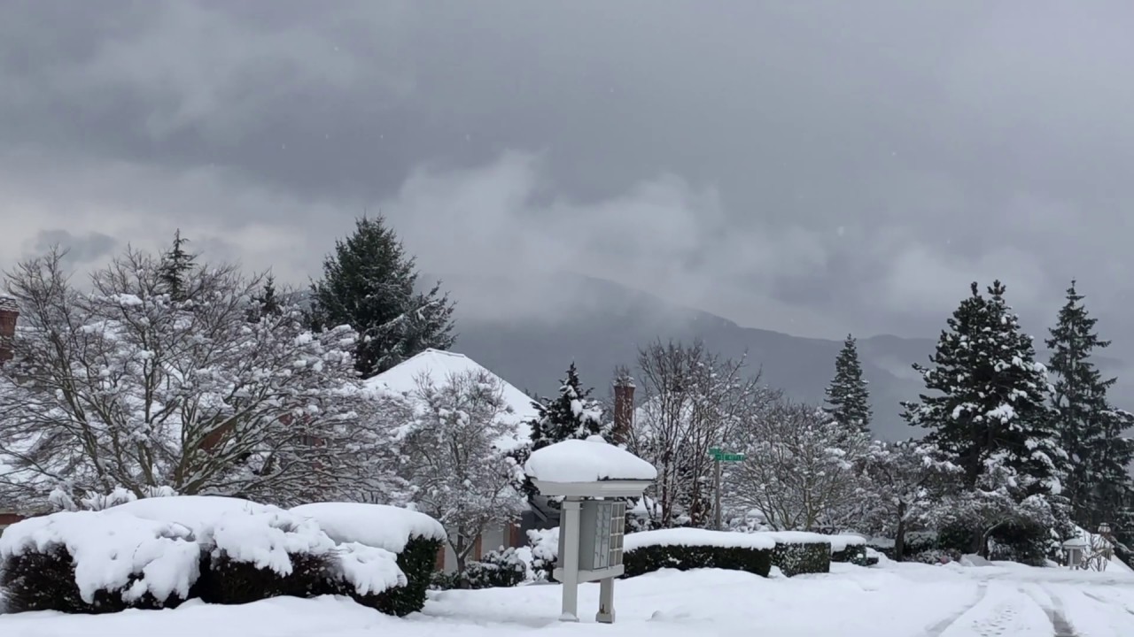 Sammamish Issaquah Snow 2019 Blizzard Blankets Seattle Lowlands Rare ...