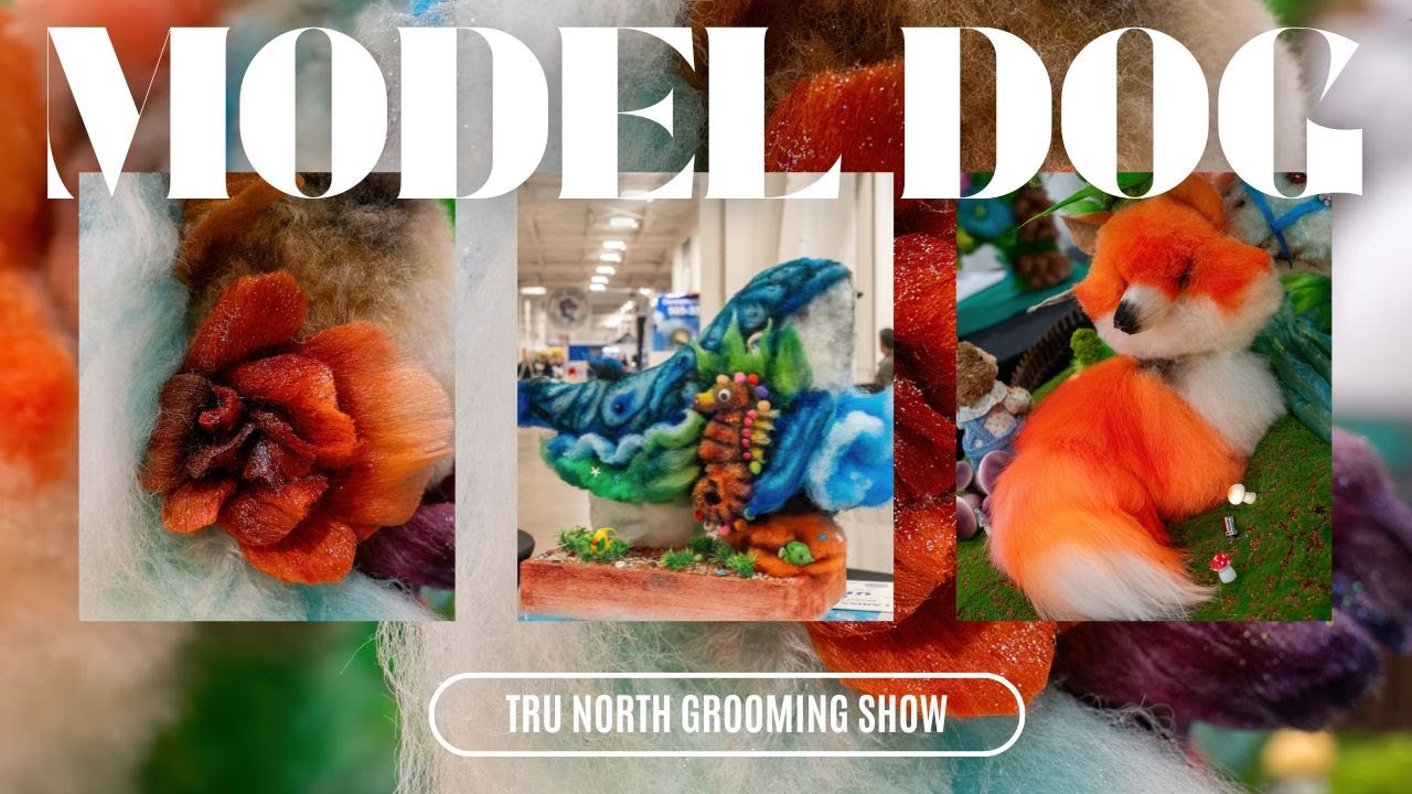 The Winning Model Dog Designs from Tru North Grooming Show with OPAWZ # ...