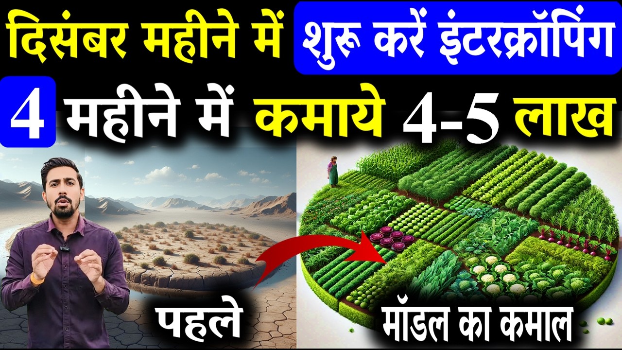 दिसंबर में खेती के इस मॉडल से 4 महीने में कमाएं 5 लाख | December ...
