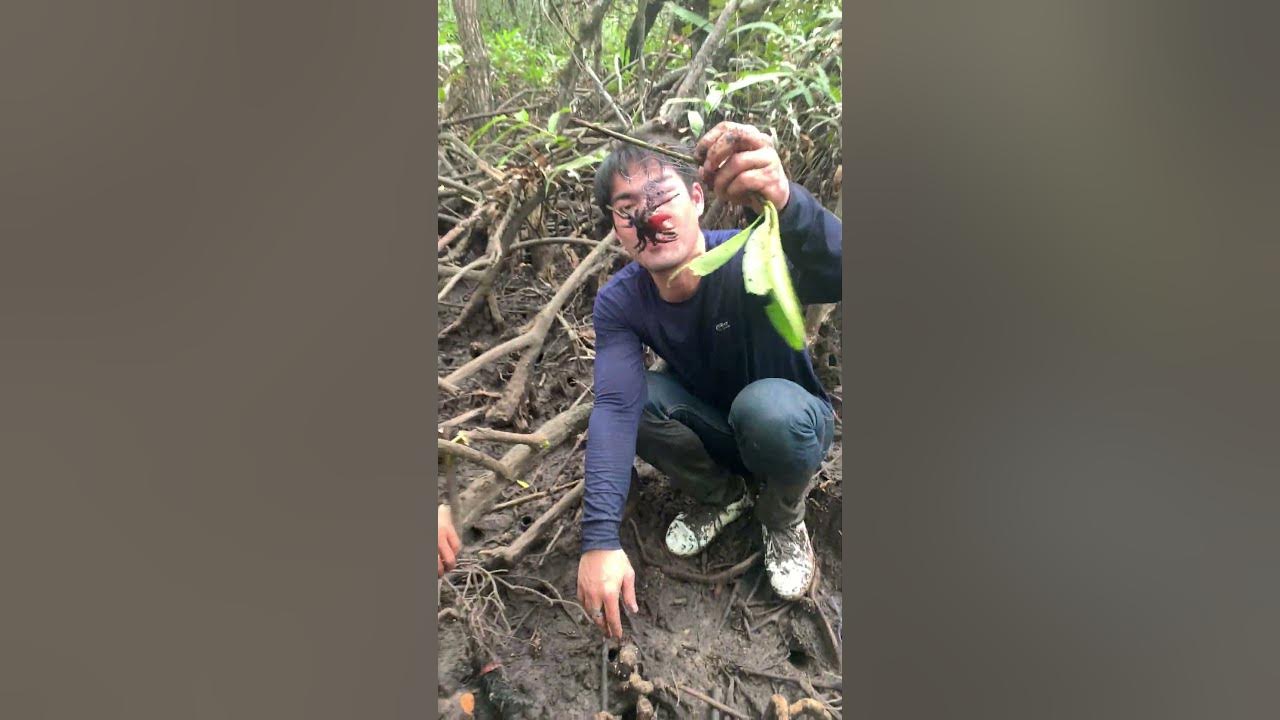 ចាប់ក្តាមប្រៃ | VJ DADA Vlogs - YouTube