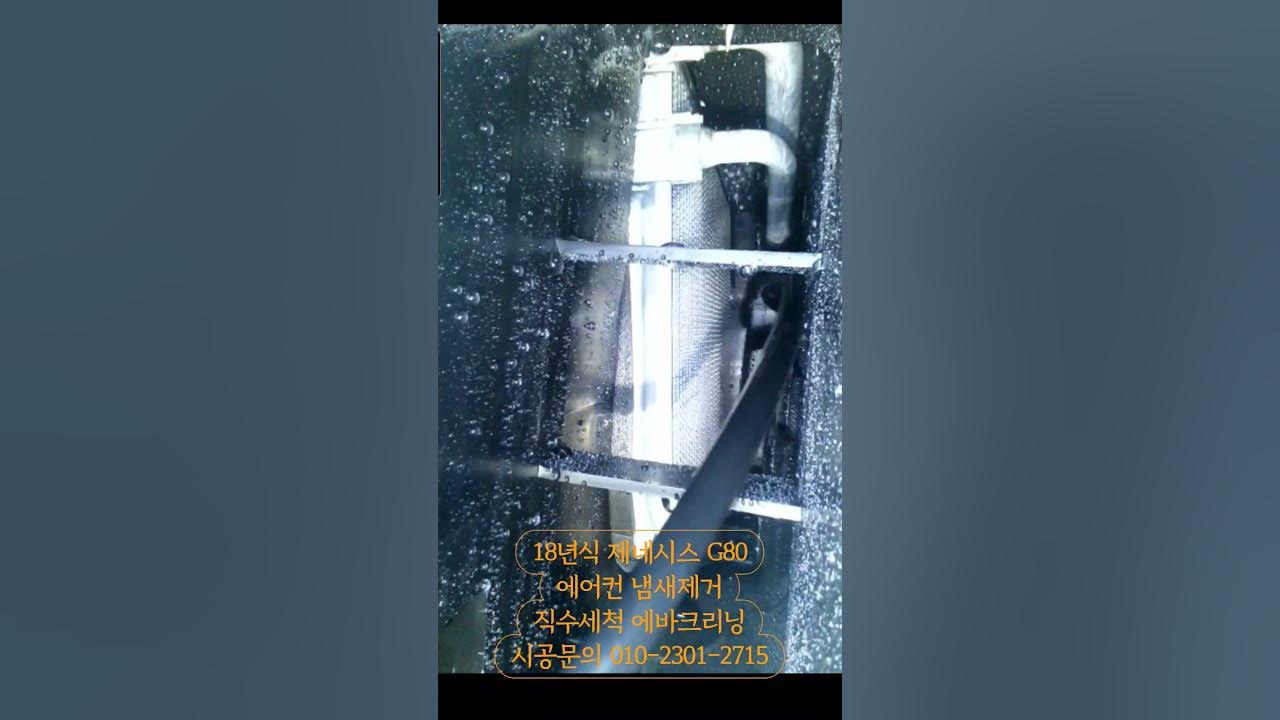 제네시스g80 출장에바크리닝 자동차에어컨냄새제거 자동차히터냄새제거 수입차에바크리닝 수입차에어컨냄새제거 화물차에바크리닝 봉고에어컨막힘 포터에어컨막힘 Youtube