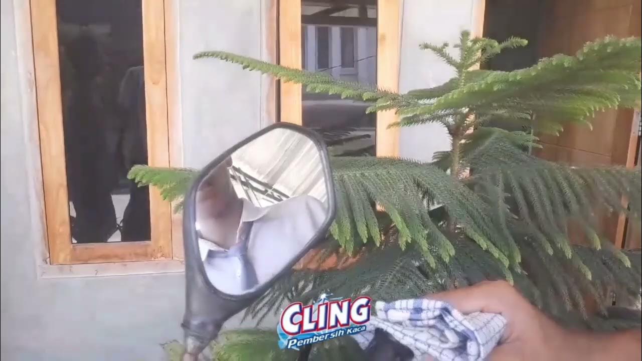 Iklan CLING - YouTube