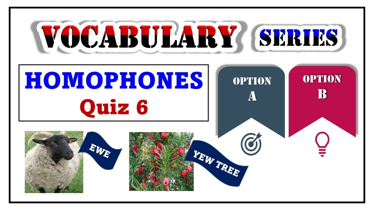 VOCABULARY Series Quiz 6/Homophones/Advanced Words/Test yourself/IELTS ...