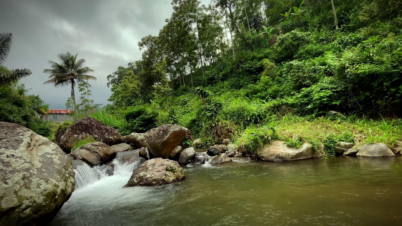 Blue Mountain Stream Sounds 🌿 Flowing River Ambience for Sleep ...