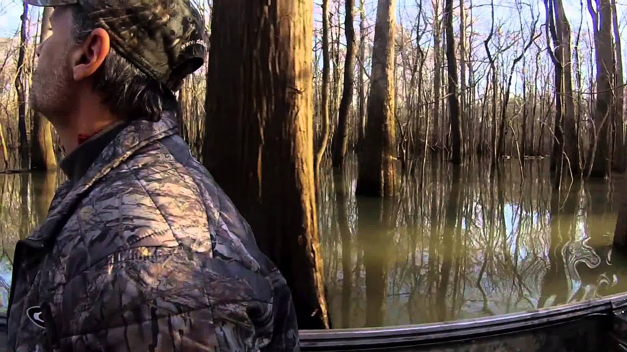 Bayou Meto - YouTube