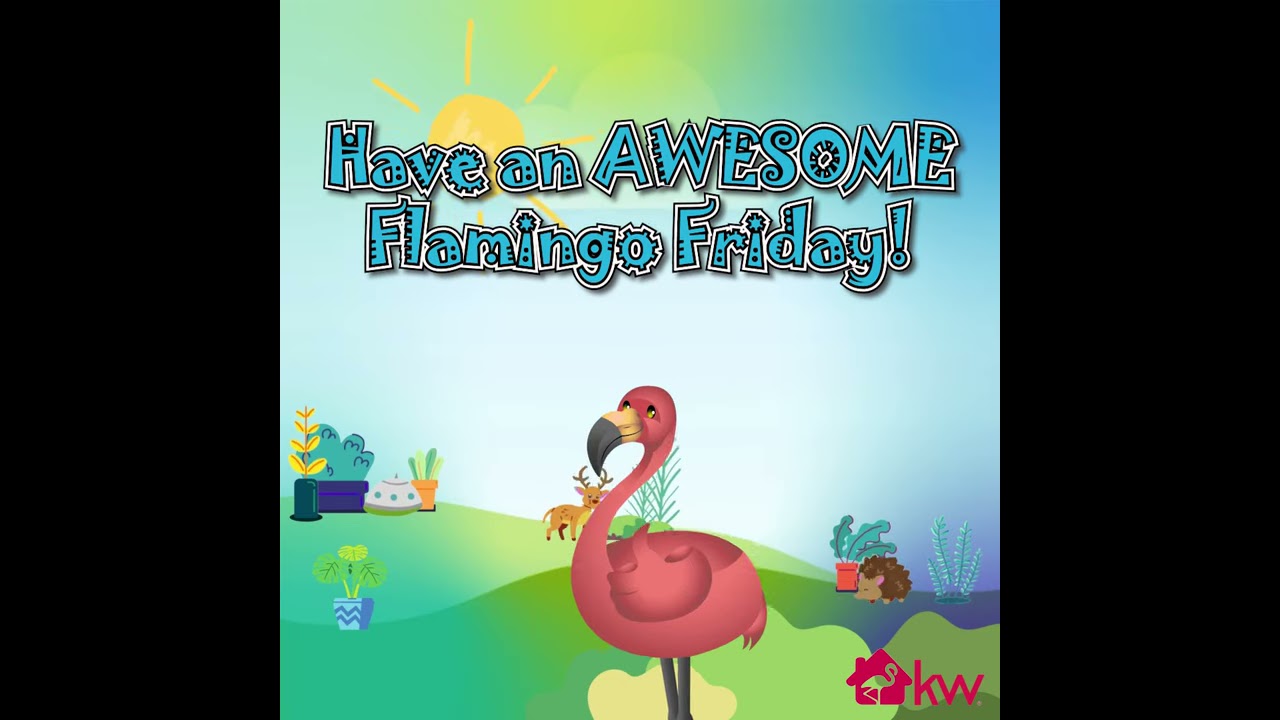 Happy Flamingo Friday! - YouTube