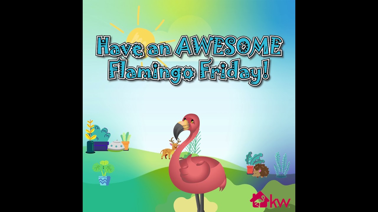 Happy Flamingo Friday! - YouTube