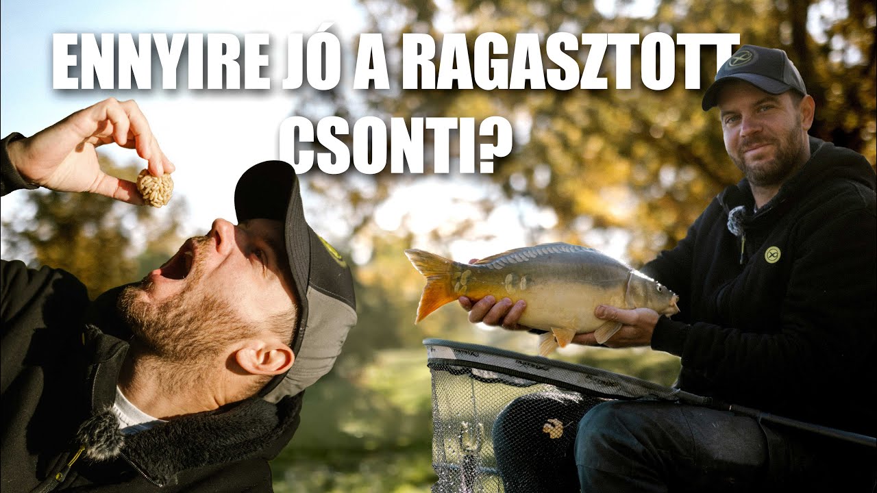 Ennyire Jó Lenne A Ragasztott Csonti? - Hogyan legyetek eredményesek ...