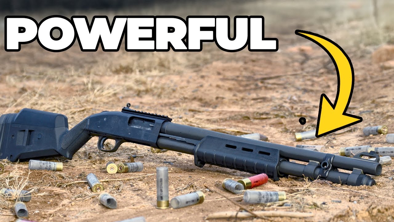 TOP 5 Most POWERFUL Shotguns You Can LEGALLY Own! 🔥💥 - YouTube