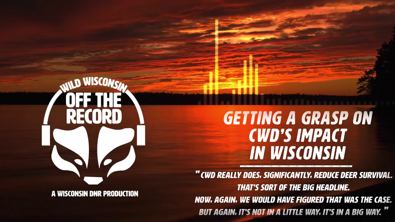 Getting a Grasp on CWD’s Impact in Wisconsin -- Off The Record Podcast ...