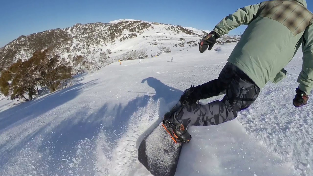 Perisher blue cow July 2019 - YouTube