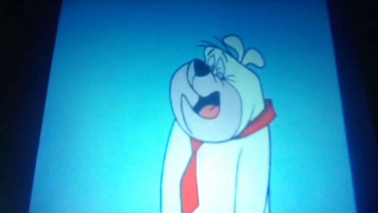 Chopper tells raccoon to cut it out and threatens him - YouTube