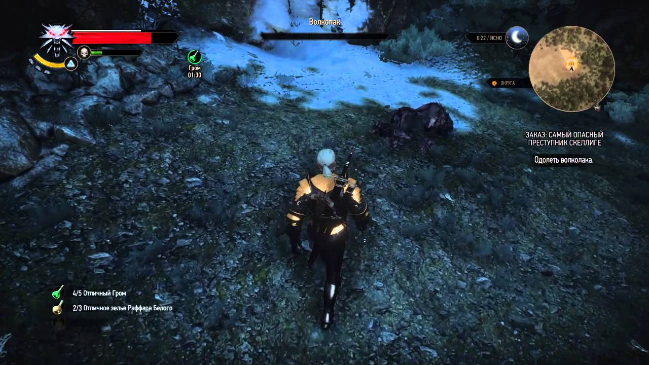 The Witcher 3 undead werewolf - YouTube