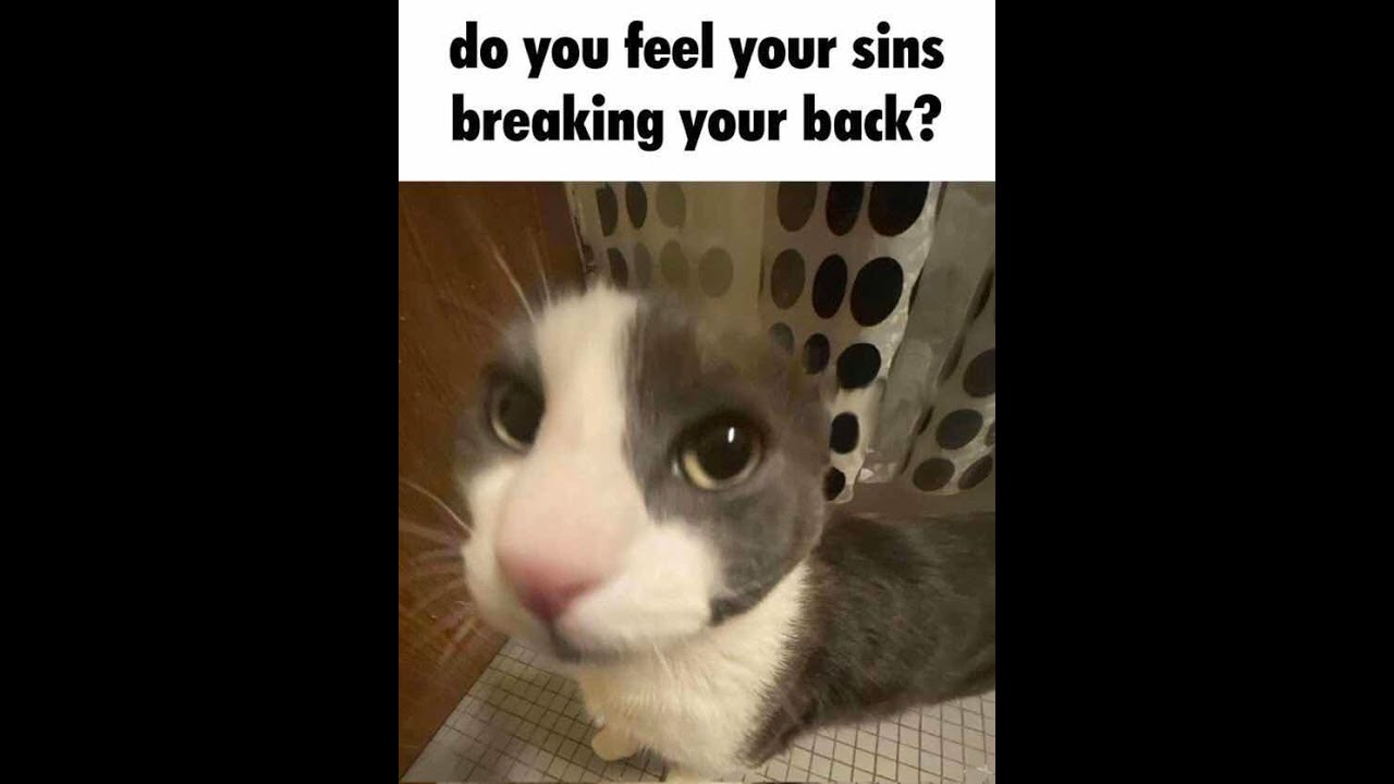 20 minutes of unedited footage of me playing the bottomless pit ...