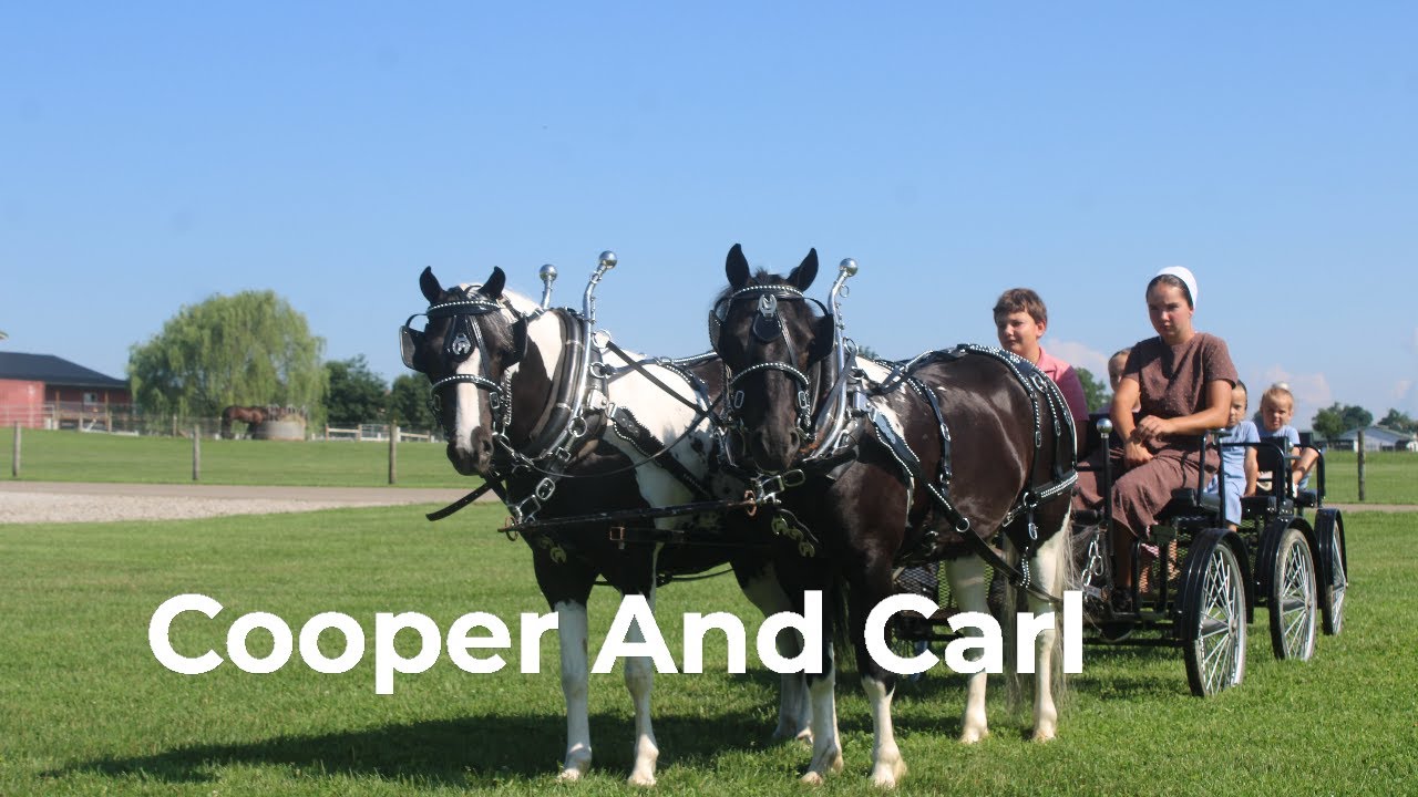 Cooper And Carl - YouTube