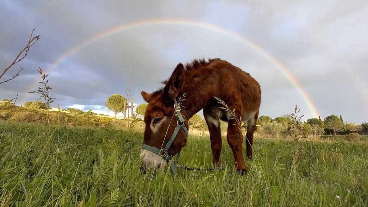 c'est tout le temps beau même quand il ne fait pas beau! - YouTube