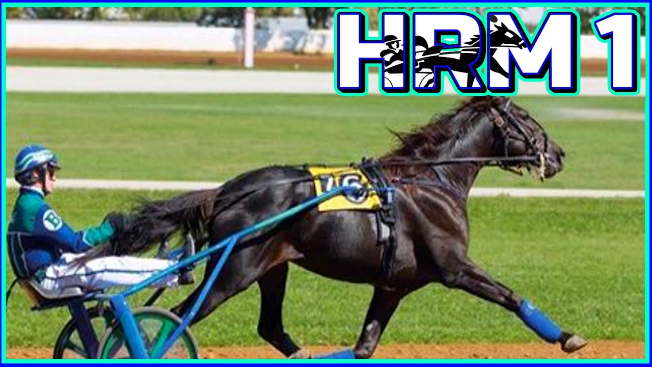 Final Stretch Horse Racing Manager Sim 1 Gameplay Walkthrough With ...