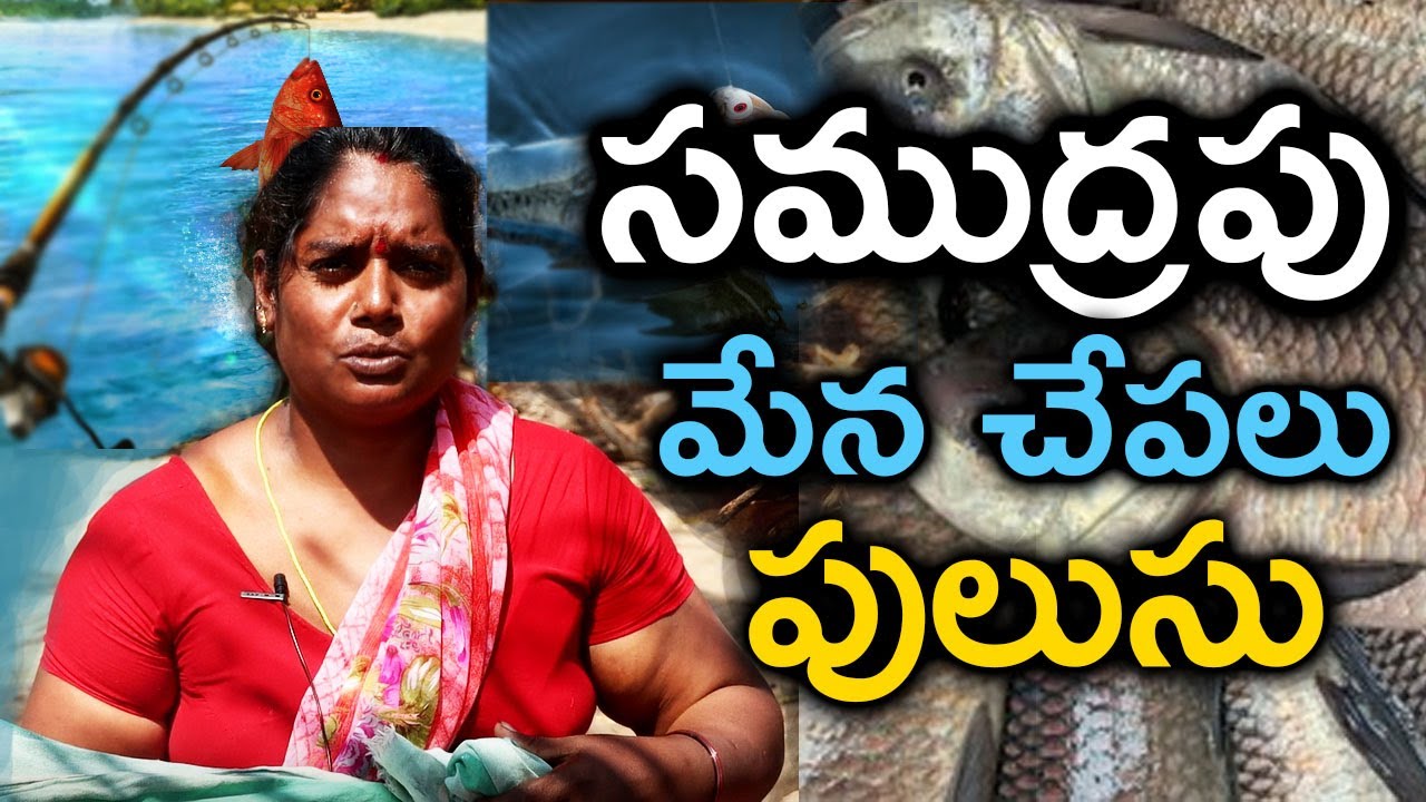 Dry Chepa Pulusu Sea Fish Curry Recipe | Telugu Village Cooking Recipes ...