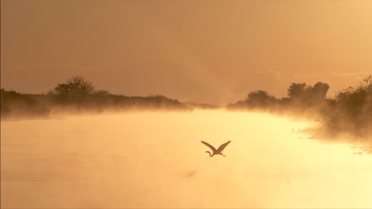 Calming Autumn Nature Scenes with Healing Music | Relax & Unwind - YouTube