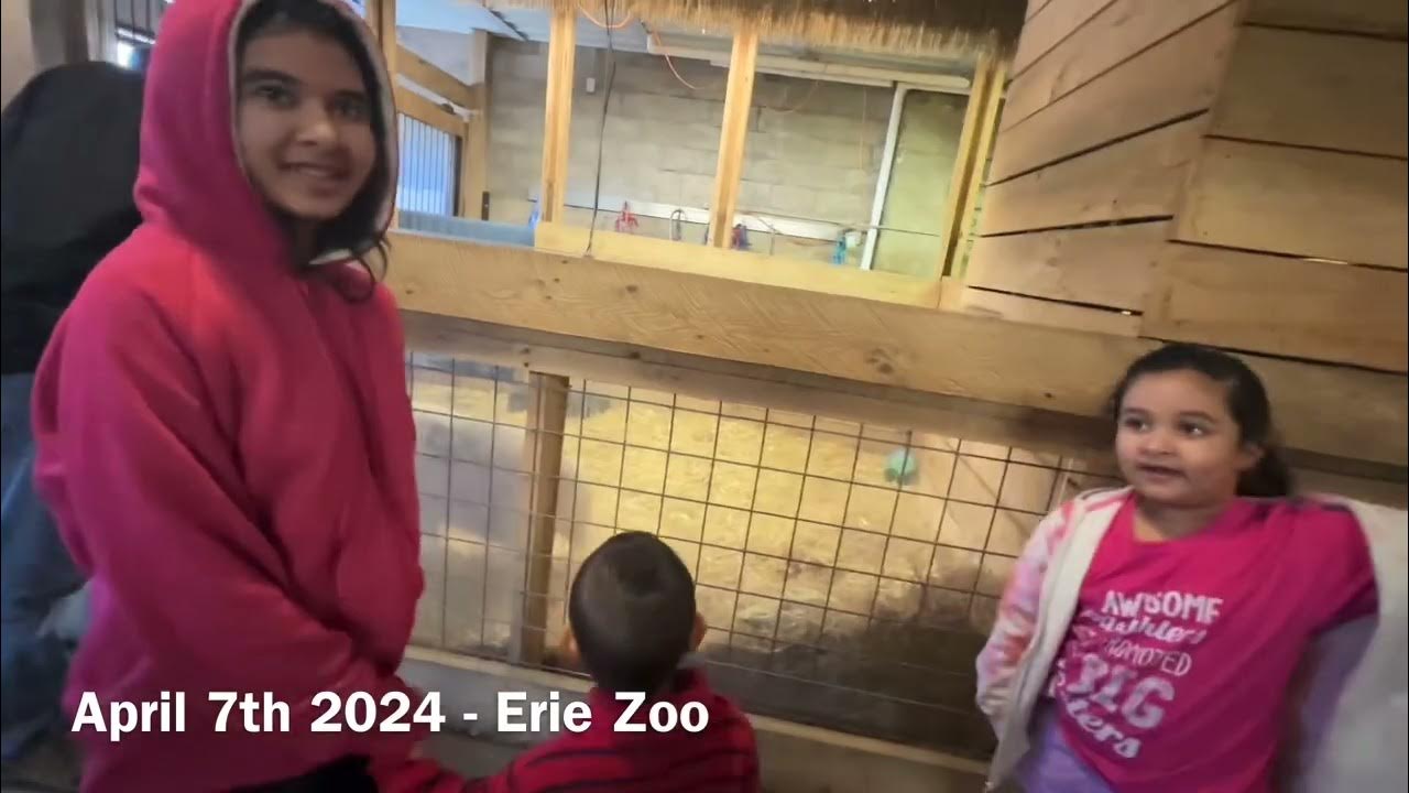 Erie PA Zoo Visit with Aama-Baba : April 7th 2024 - YouTube