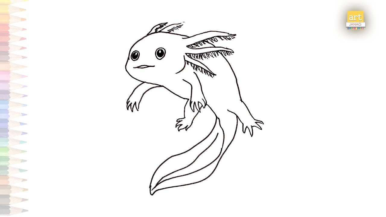Cute Axolotl drawing | Amphibian drawings | How to draw A Cute Axolotl ...