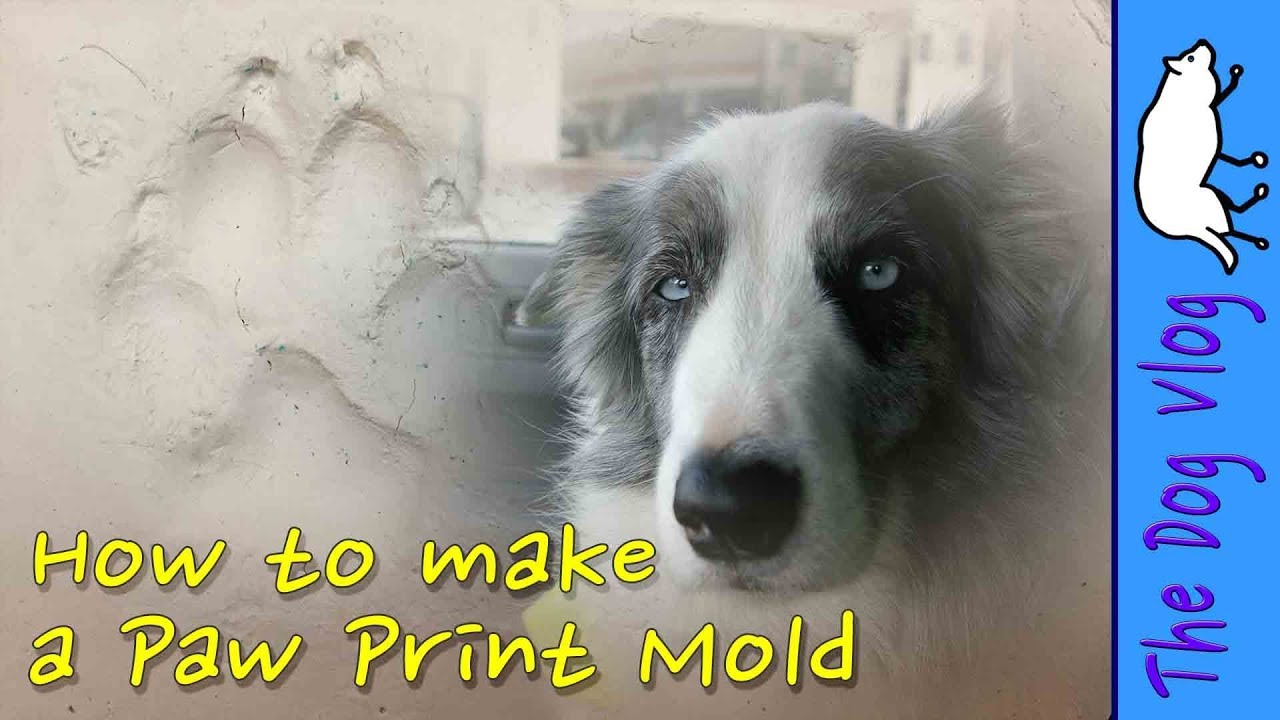 How To Make A Paw Print Mold YouTube How To Make A Paw Print Mold YouTube