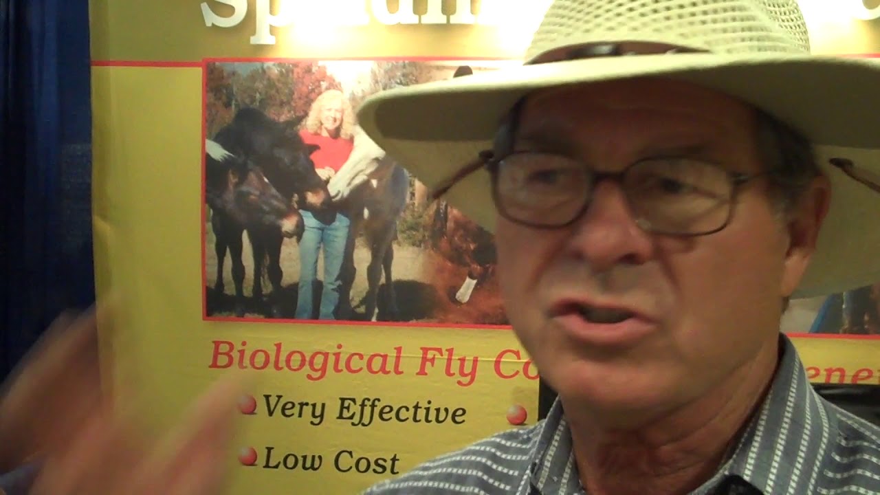 Doug Reviews Spalding Fly Predators - YouTube