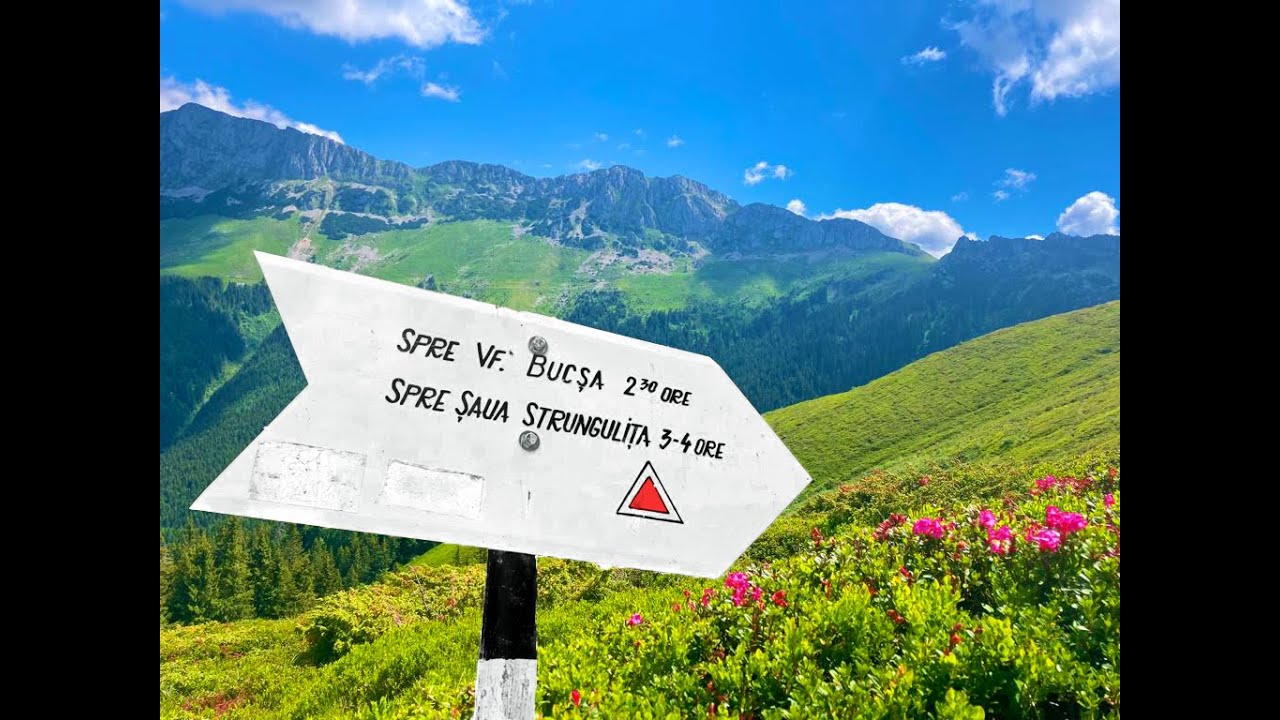 Traseu circuit Moieciu de Sus - Varful Bucsa - Saua Strunga - Varful ...