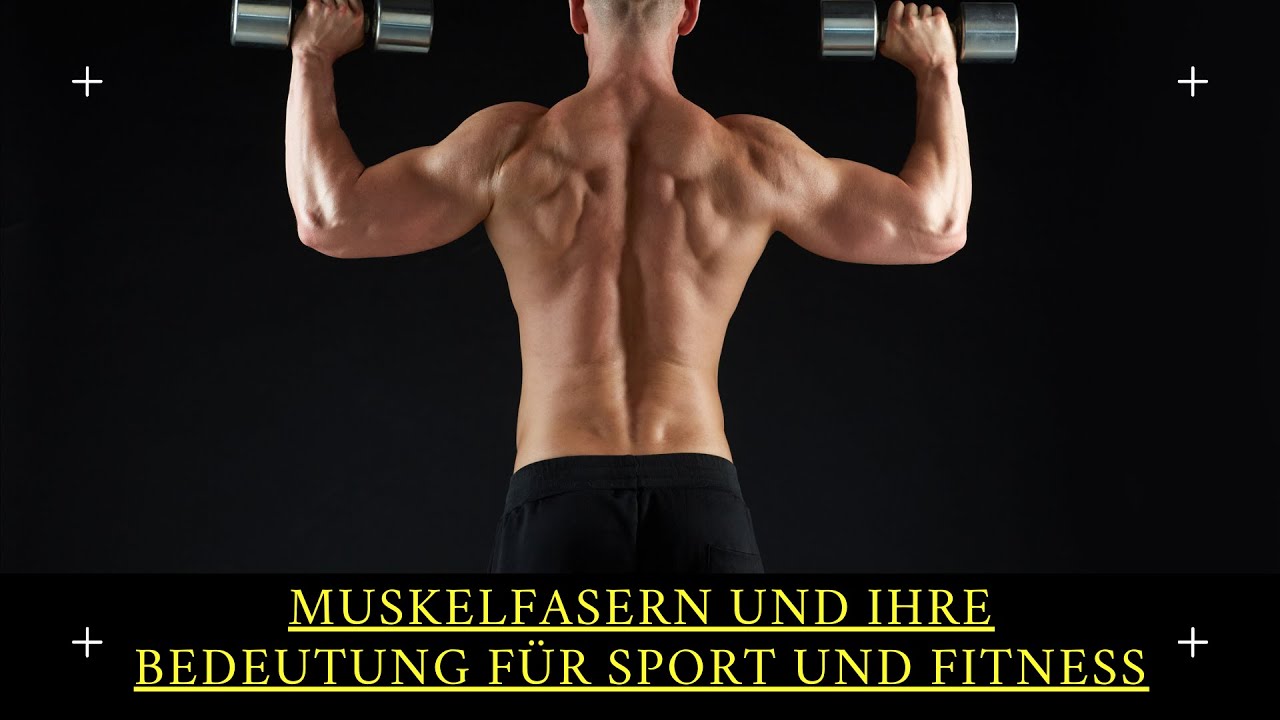 Muskelfasern und ihre Bedeutung für Sport und Fitness - YouTube