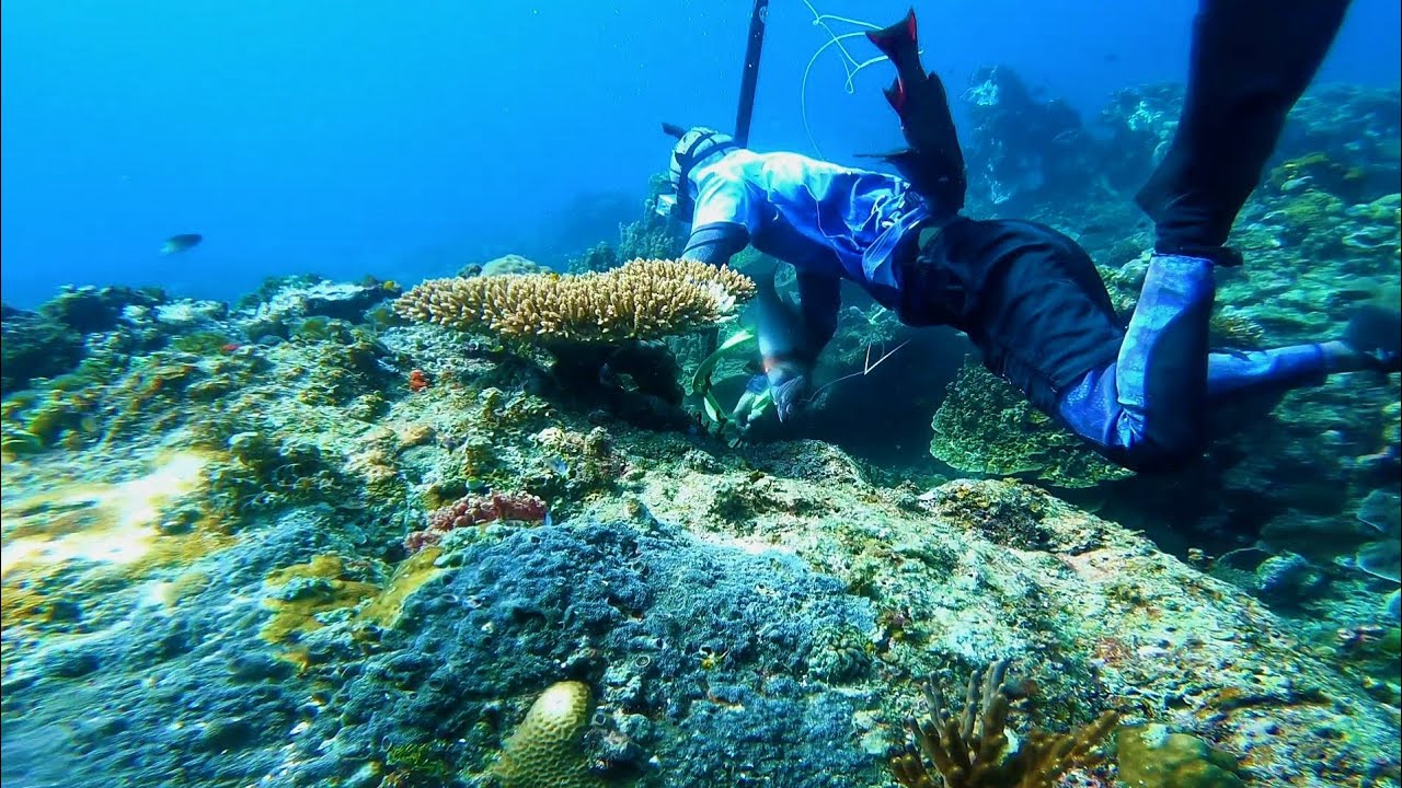 JACKPOT sa Red Grouper🙌 walang sablay bawat kalabit🎯 CATCH COOK and ...