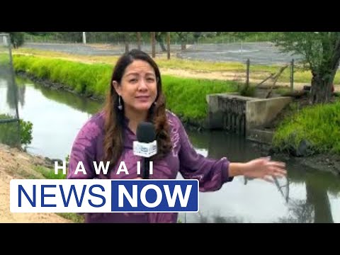 When Are Mosquitoes Bad In Oahu