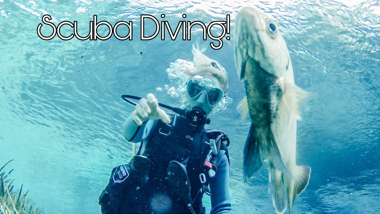 Scuba diving in Alexandra springs, getting unique donuts after! - YouTube