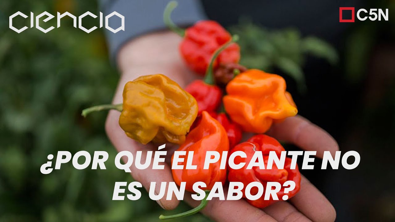 El PICANTE: ¿por qué NO es un SABOR y SÍ un DOLOR? - YouTube