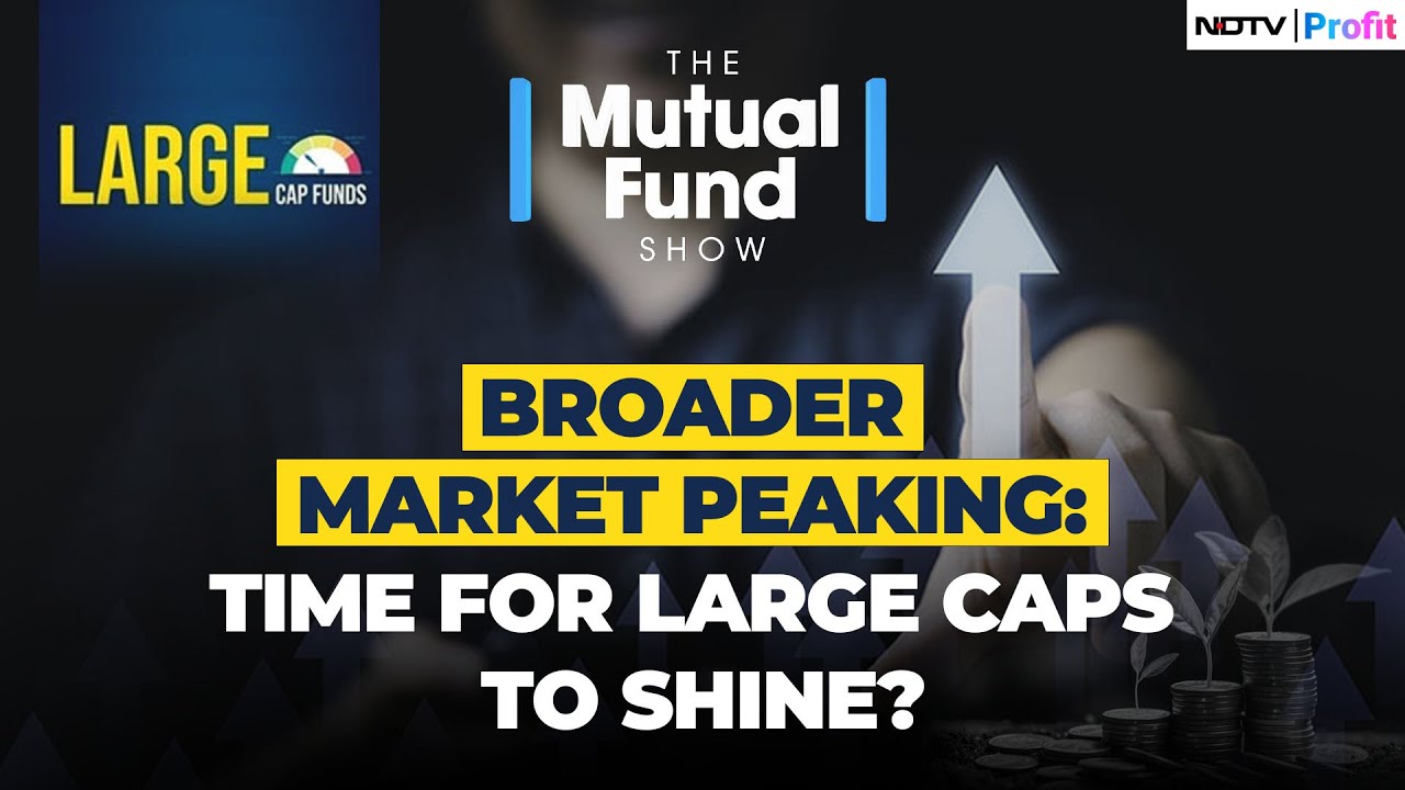 Should You Reconsider Passive Strategies In Large Caps?: All You Need ...