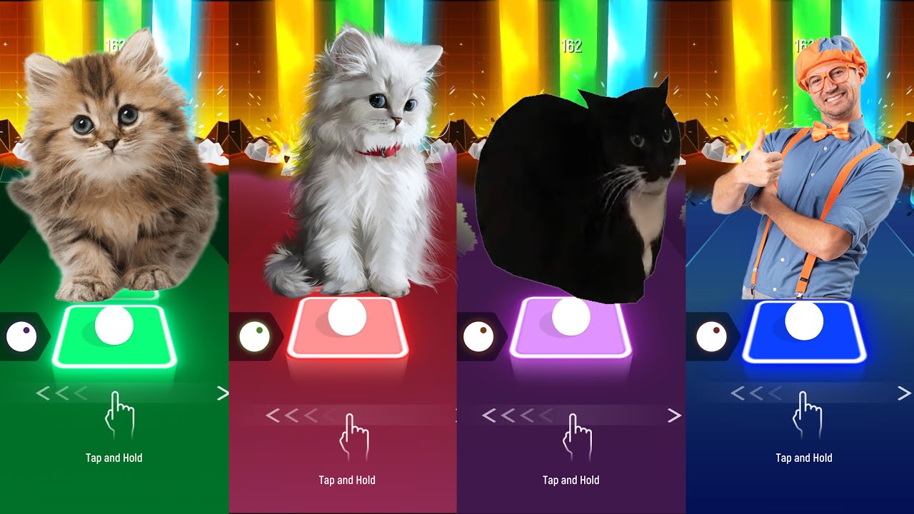 Cute Cat Lady Gaga Vs Cat Coldplay x Bts My Universe Vs Maxwell Cat Vs ...