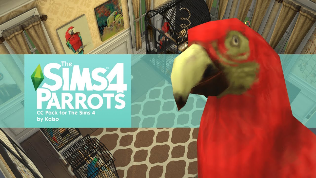 Parrot CC Stuff Pack! Animated Macaws! - YouTube