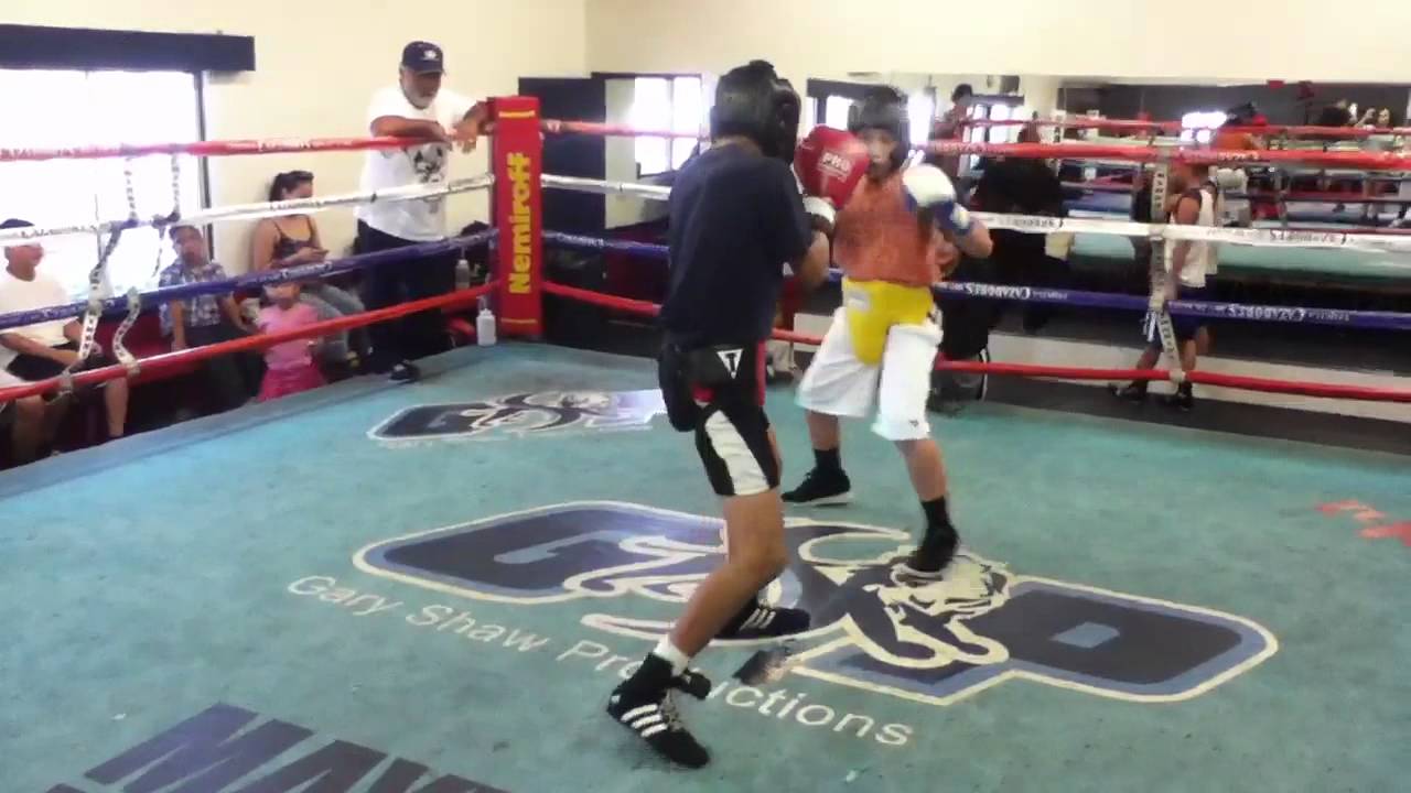 Tony Sparring At Maywood Boxing Gym 1 - YouTube