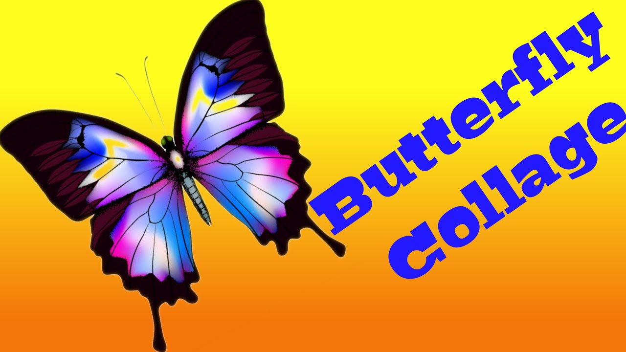 butterfly collage, how to make paper butterfly, - YouTube
